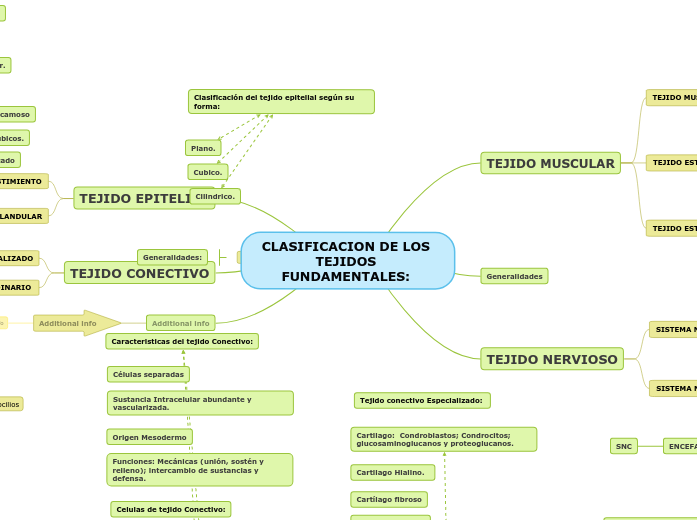 CLASIFICACION DE LOS TEJIDOS FUNDAMENTALES...- Mind Map